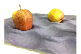 Apple Trays - Wellington Produce Packaging