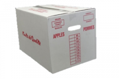 Fibre Apple Trays & Master - Wellington Produce Packaging