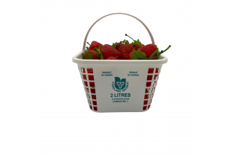 2L Plastic Mesh Basket - Wellington Produce Packaging