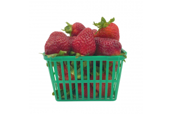 1 litre strawberry basket - Wellington Produce Packaging