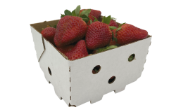 Small Fruit Boxes - Wellington Produce Packaging