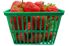 Small Fruit Boxes - Wellington Produce Packaging