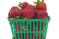 Small Fruit Boxes - Wellington Produce Packaging