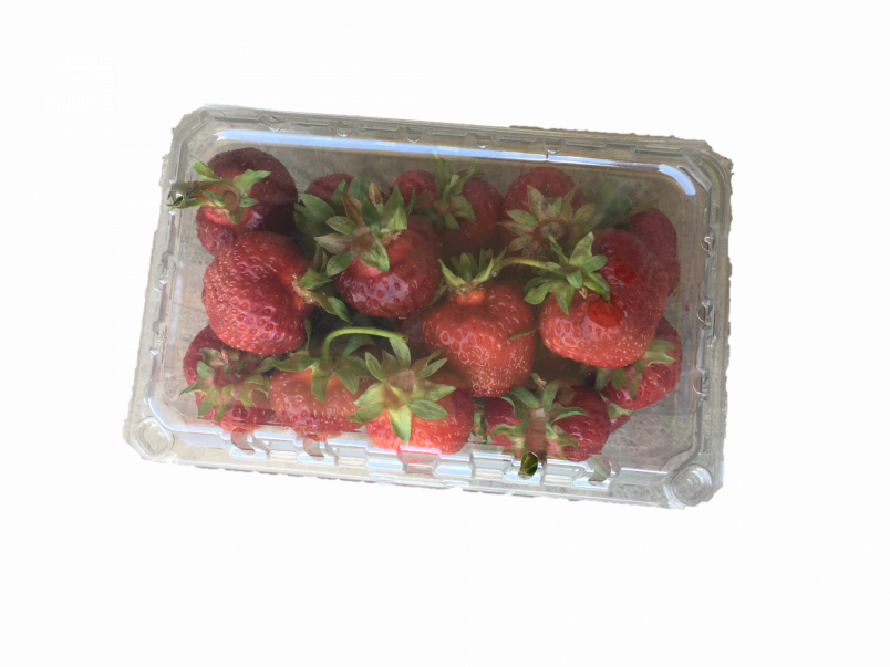 1 lb Plastic Clam Shell - Wellington Produce Packaging