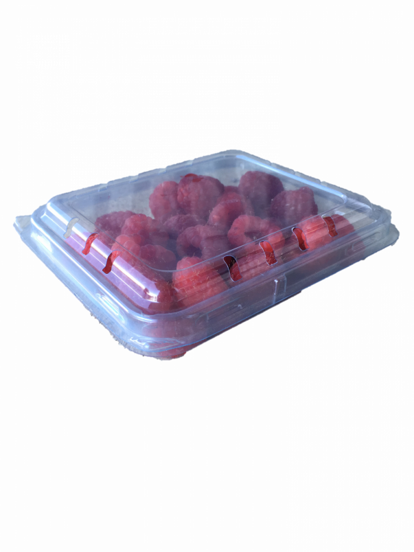 Half Pint Plastic Clam Shell - Wellington Produce Packaging