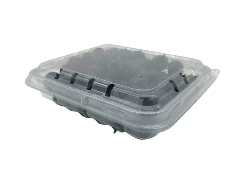 Half Pint Plastic Clam Shell - Wellington Produce Packaging