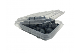 Half Pint Plastic Clam Shell - Wellington Produce Packaging