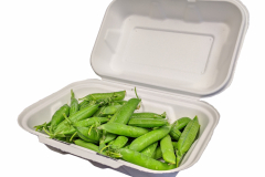 Clamshell Packaging - Wellington Produce Packaging