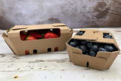 Clamshell Packaging - Wellington Produce Packaging