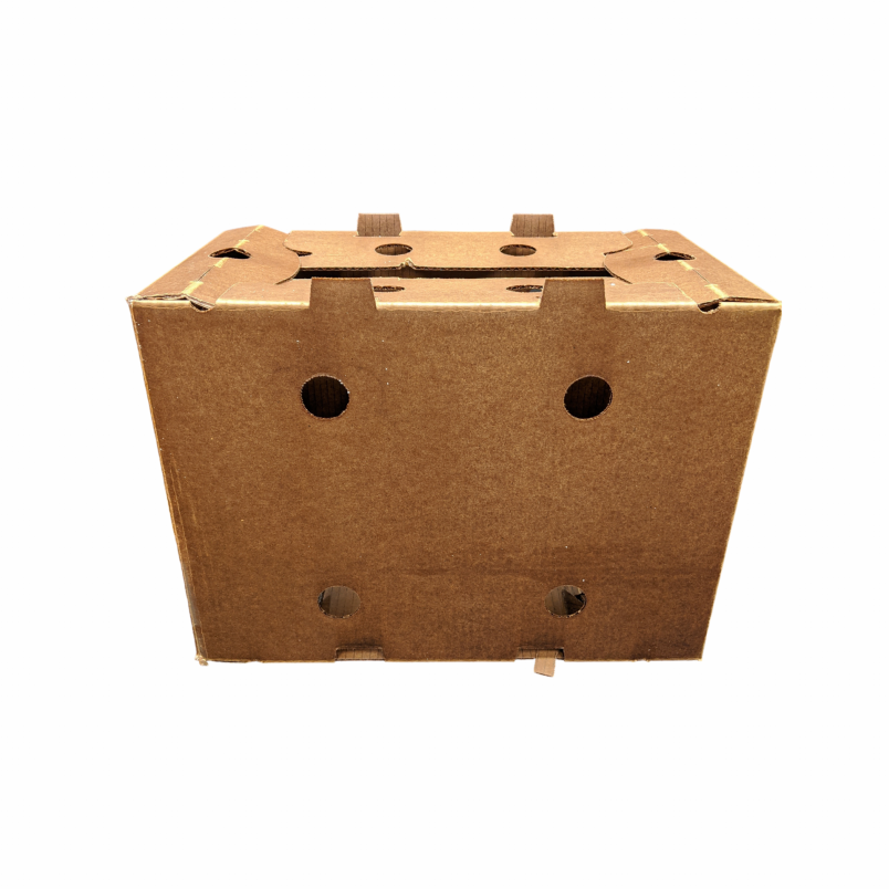 Sweet Corn Box - Wellington Produce Packaging