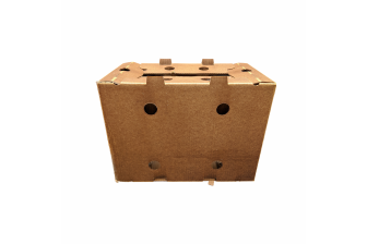 Sweet Corn Box - Wellington Produce Packaging